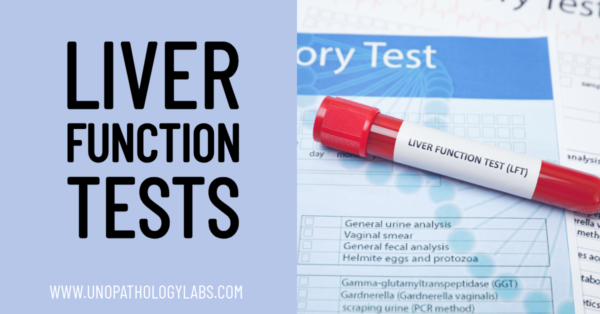 Liver Function Test in Mohali | Chandigarh | Panchkula- Uno Pathology Labs